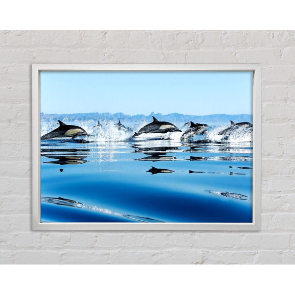 Bright Star Dolphins In The Sea - Single Picture Frame Print on Canvas ...