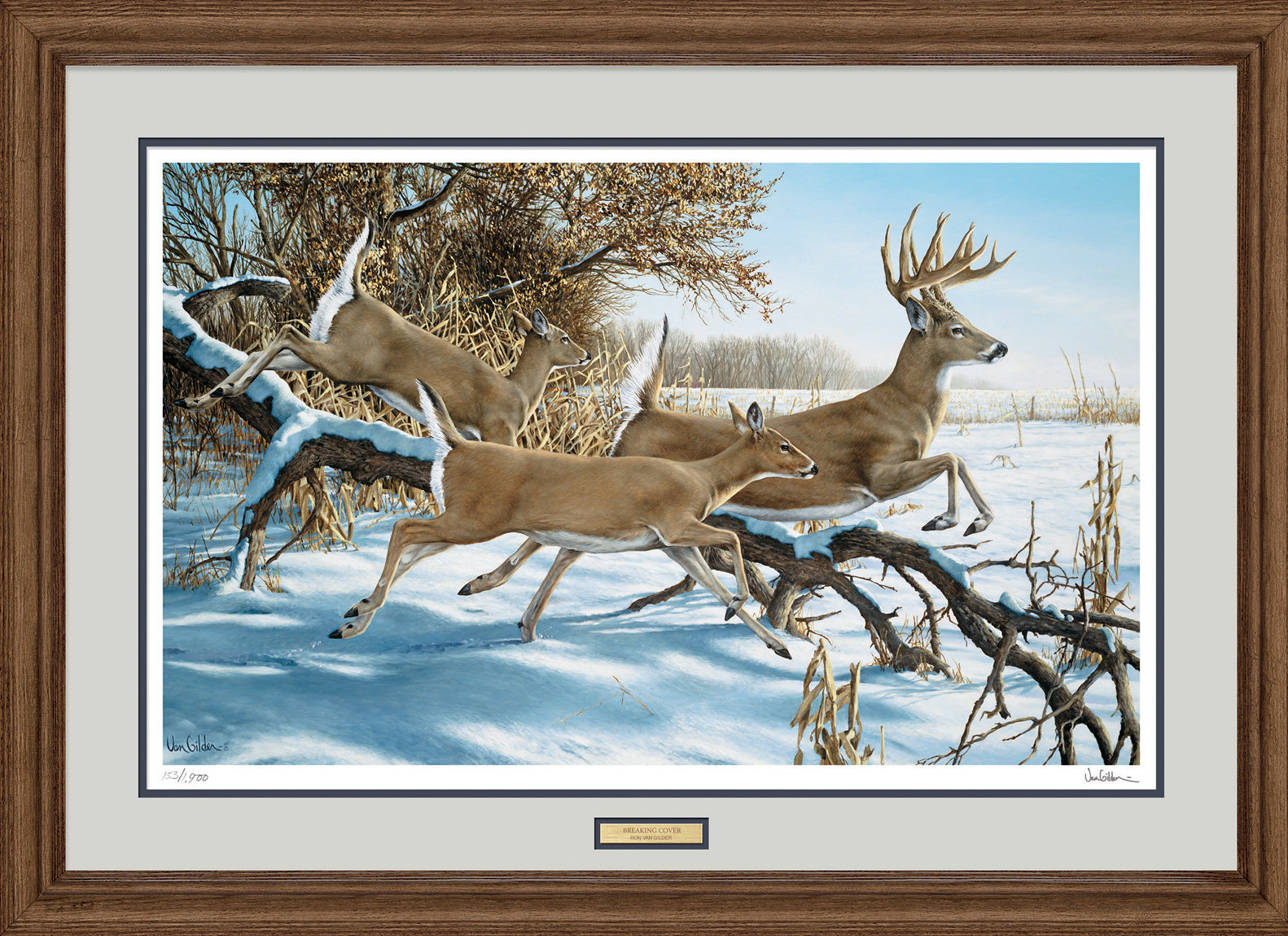 Wild Wings Breaking Cover by Ron Van Gilder Framed Painting Print ...