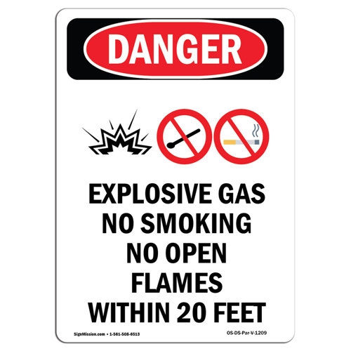 SignMission Explosive Gas No Smoking Danger Sign - Wayfair Canada
