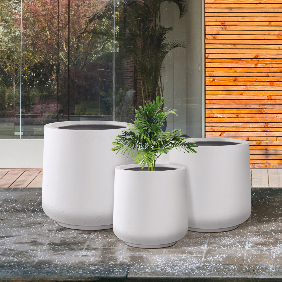 AllModern Tali 3 Piece Round Concrete Planter, Outdoor Indoor Large ...