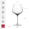RONA Grace 33 oz. Burgundy Glass & Reviews | Wayfair
