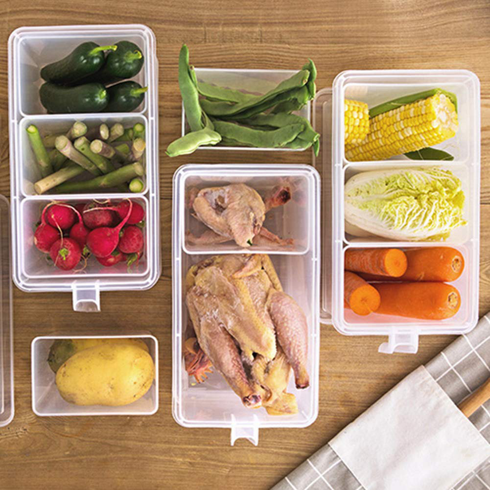 Orren Ellis 2 Pack Plastic Divided Veggie Storage Containers With Lids ...