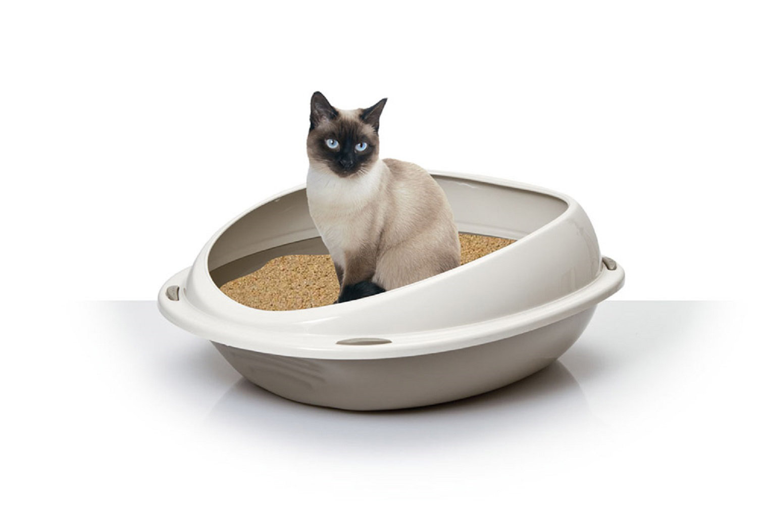 Archie & Oscar Katzenklo Dillow & Reviews | Wayfair.co.uk