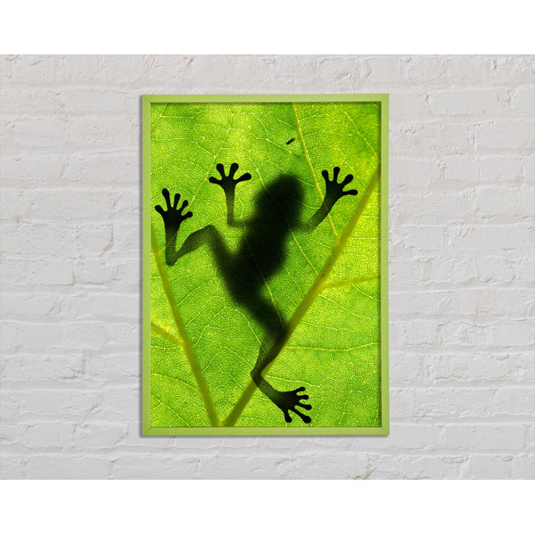 Brayden Studio Frog Shadow - Single Picture Frame Print | Wayfair.co.uk