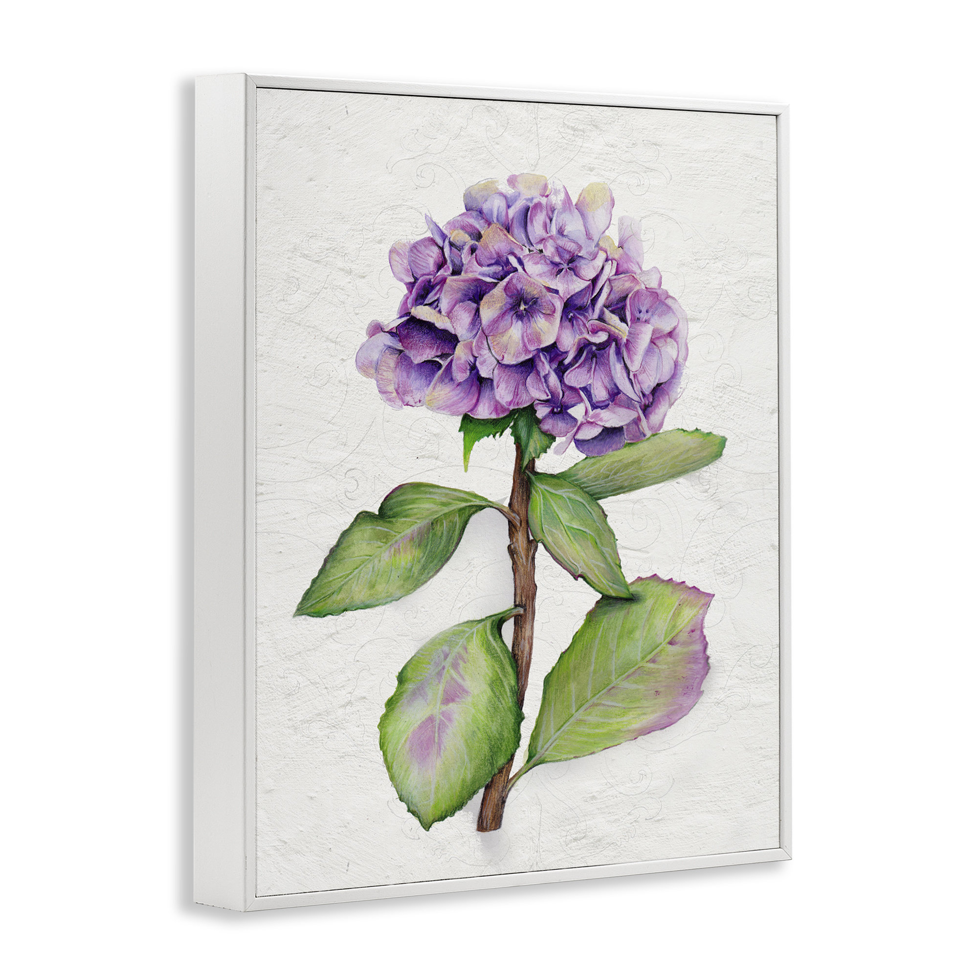 Winston Porter European Style Hydrangea Framed Giclee Art by Levison ...