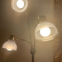 Wade Logan® Lally 69'' Tree & Reviews | Wayfair