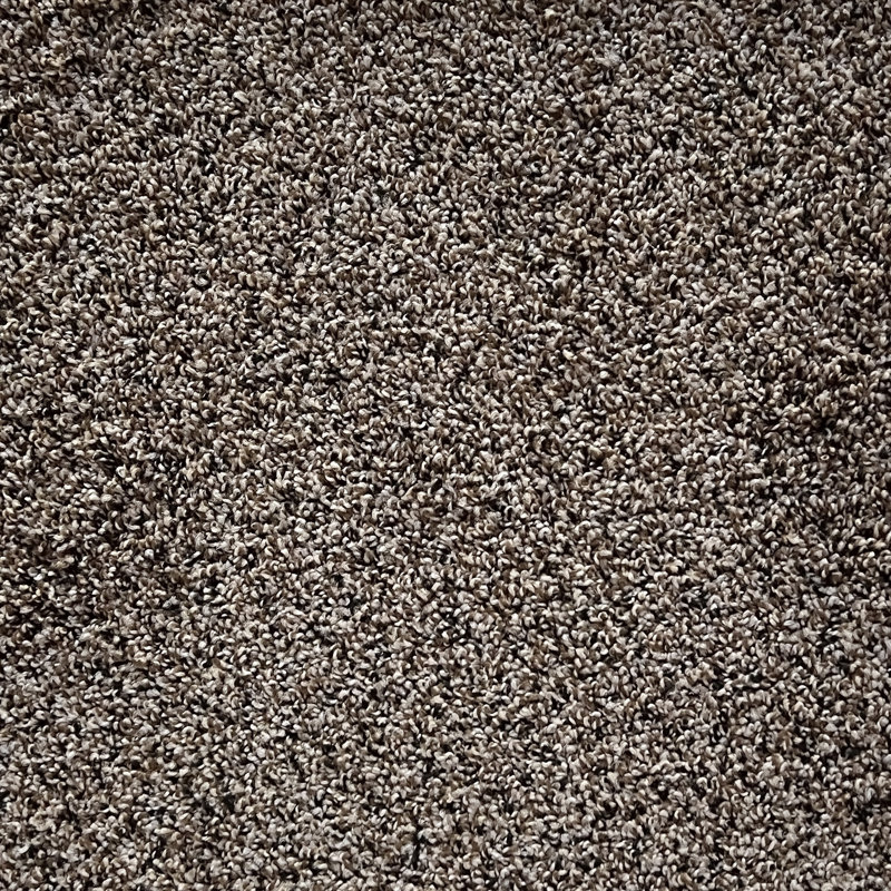 EZ Carpet Plush Perfect Versatile Carpet & Reviews | Wayfair