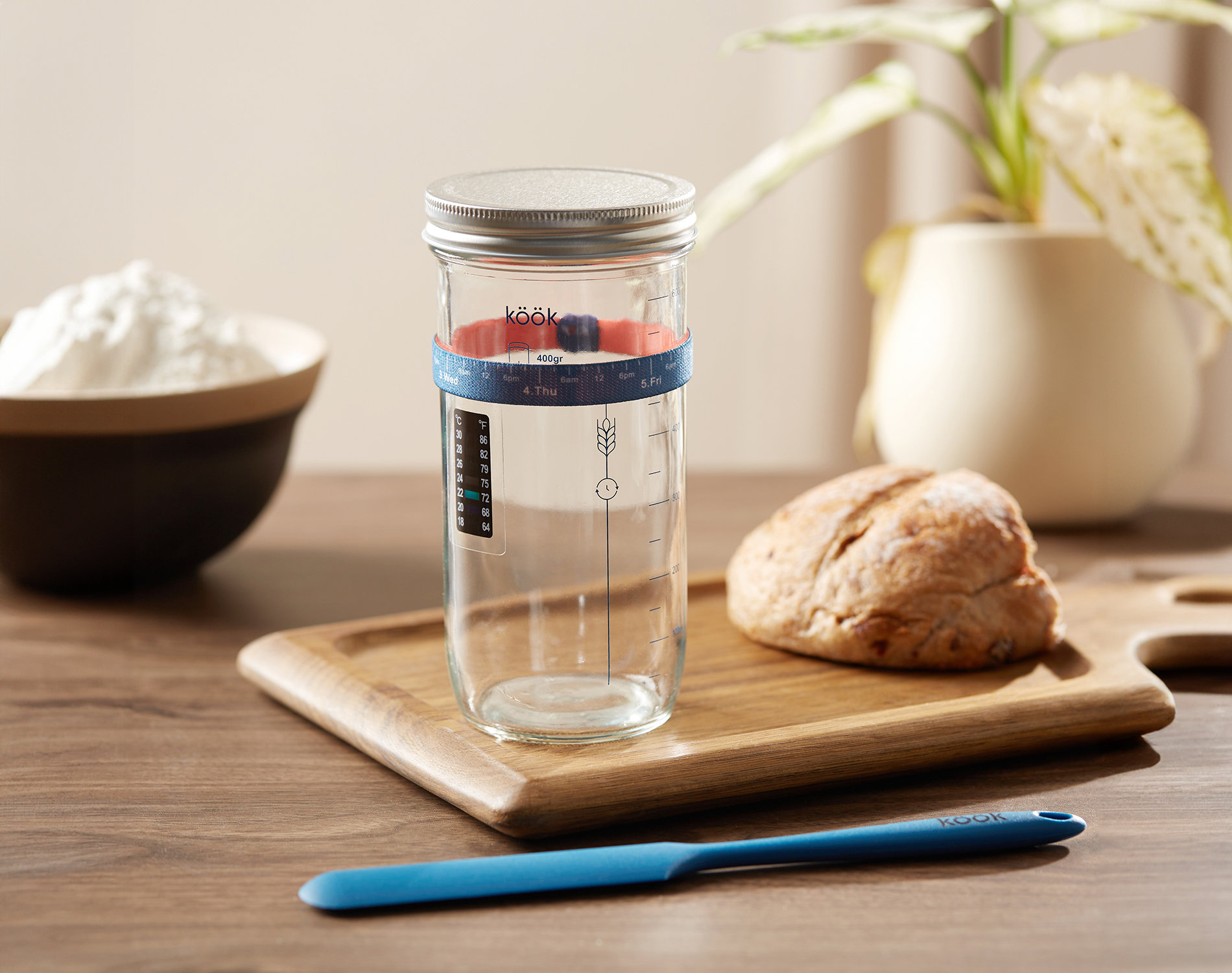 Kook Bread Baking Set With Dutch Oven & Proofing Tools - Wayfair Canada