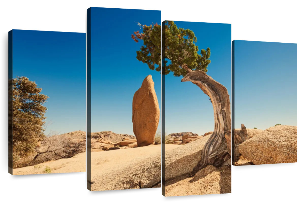 Ebern Designs Nicci Joshua Tree Park Juniper And Monolith | Wayfair