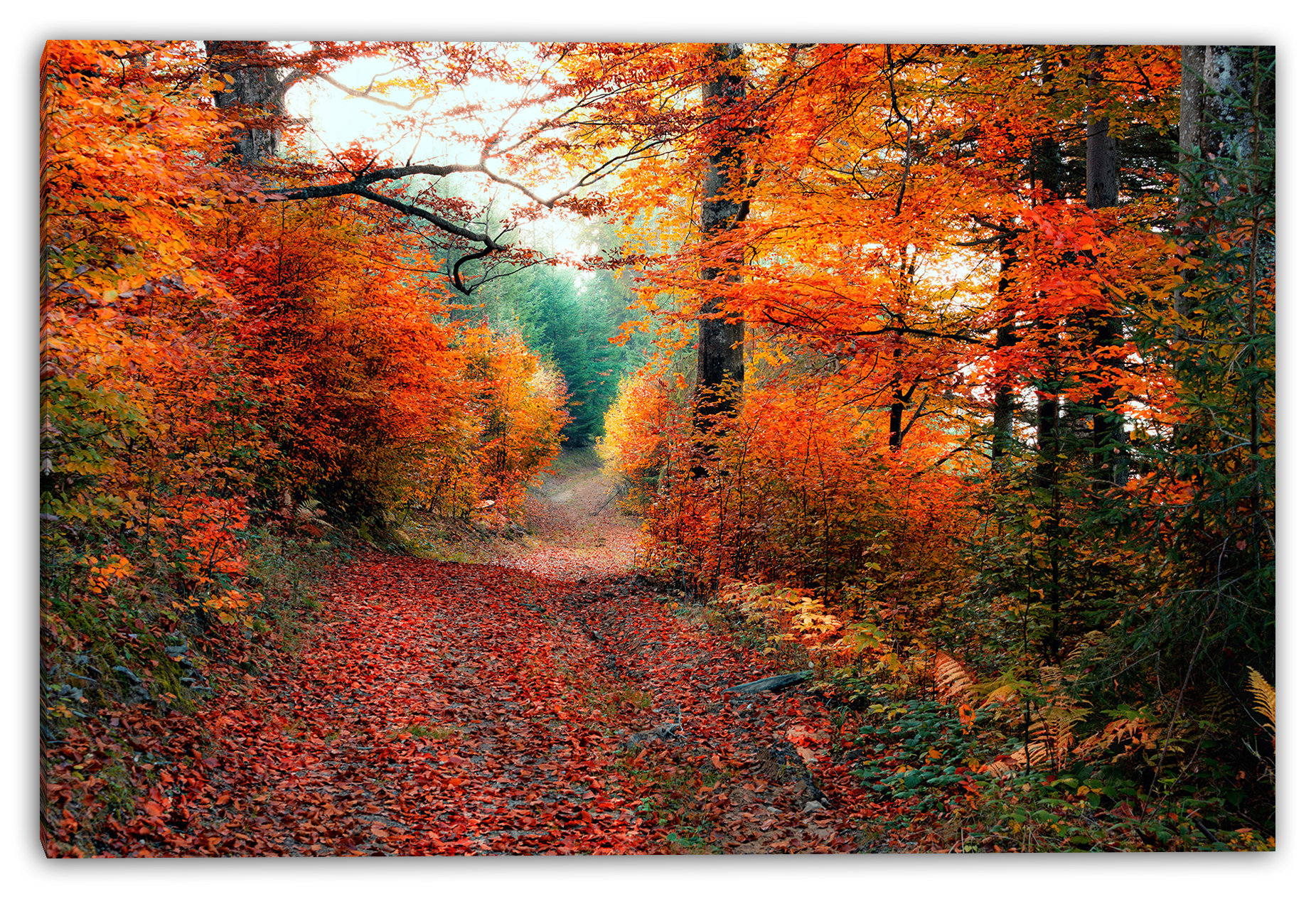 Union Rustic Amber Forest Lane Wrapped Canvas Wall Art | Wayfair