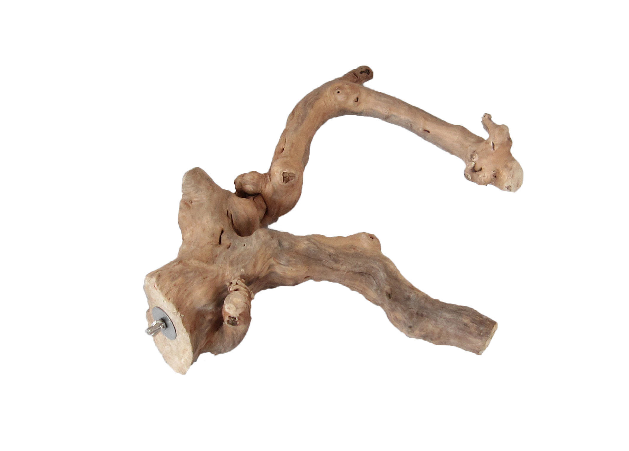 A&E Cage Co. Java Wood Multi Branch Perch | Wayfair