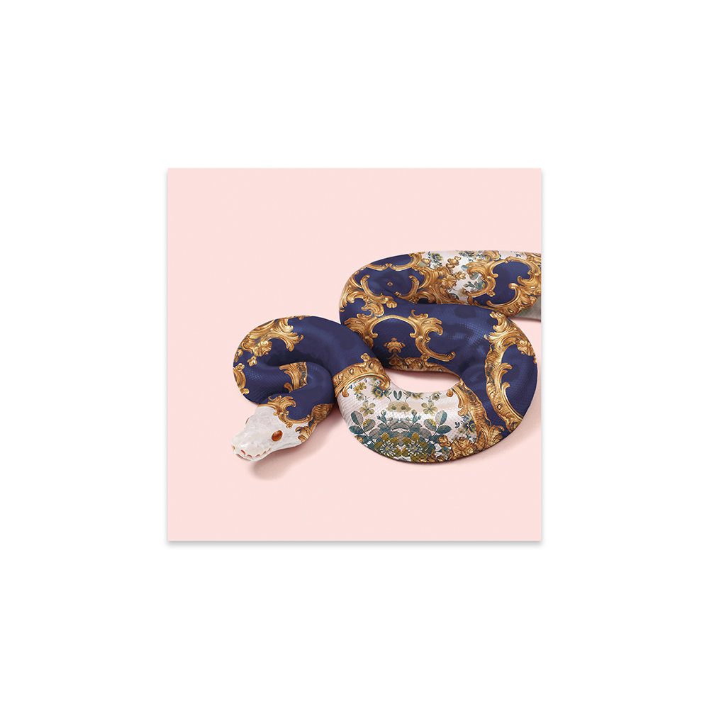 Red Barrel Studio® Barroque Snake - Unframed Photograph | Wayfair