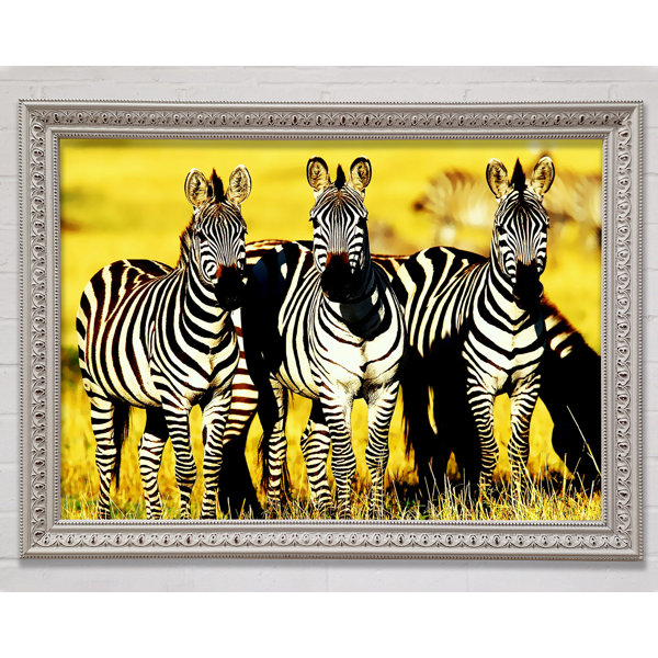 Bright Star Curious Zebras - Single Picture Frame Art Prints | Wayfair ...