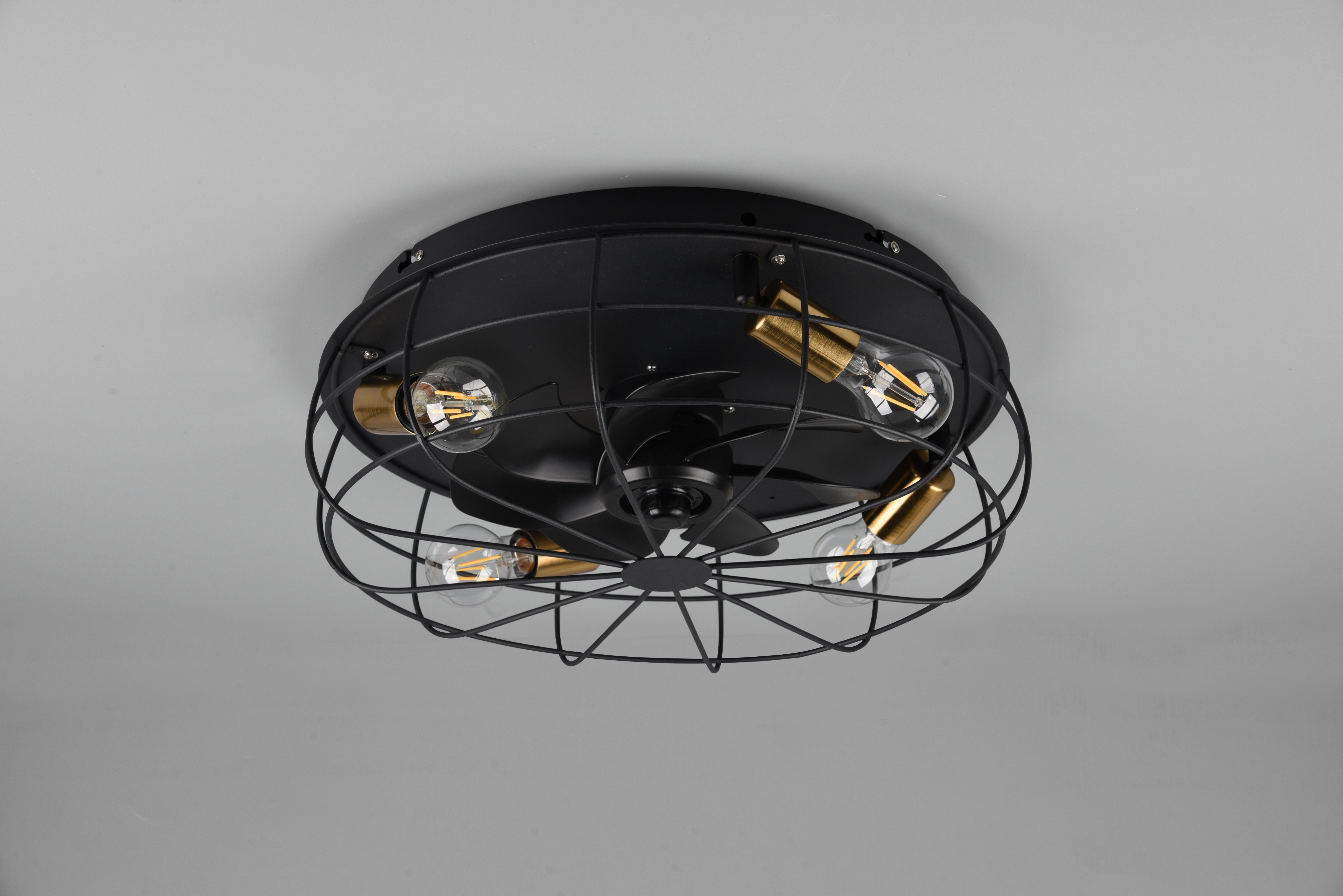 Trent Austin Design 48cm Calista 7 - Blade Ceiling Fan with Remote ...
