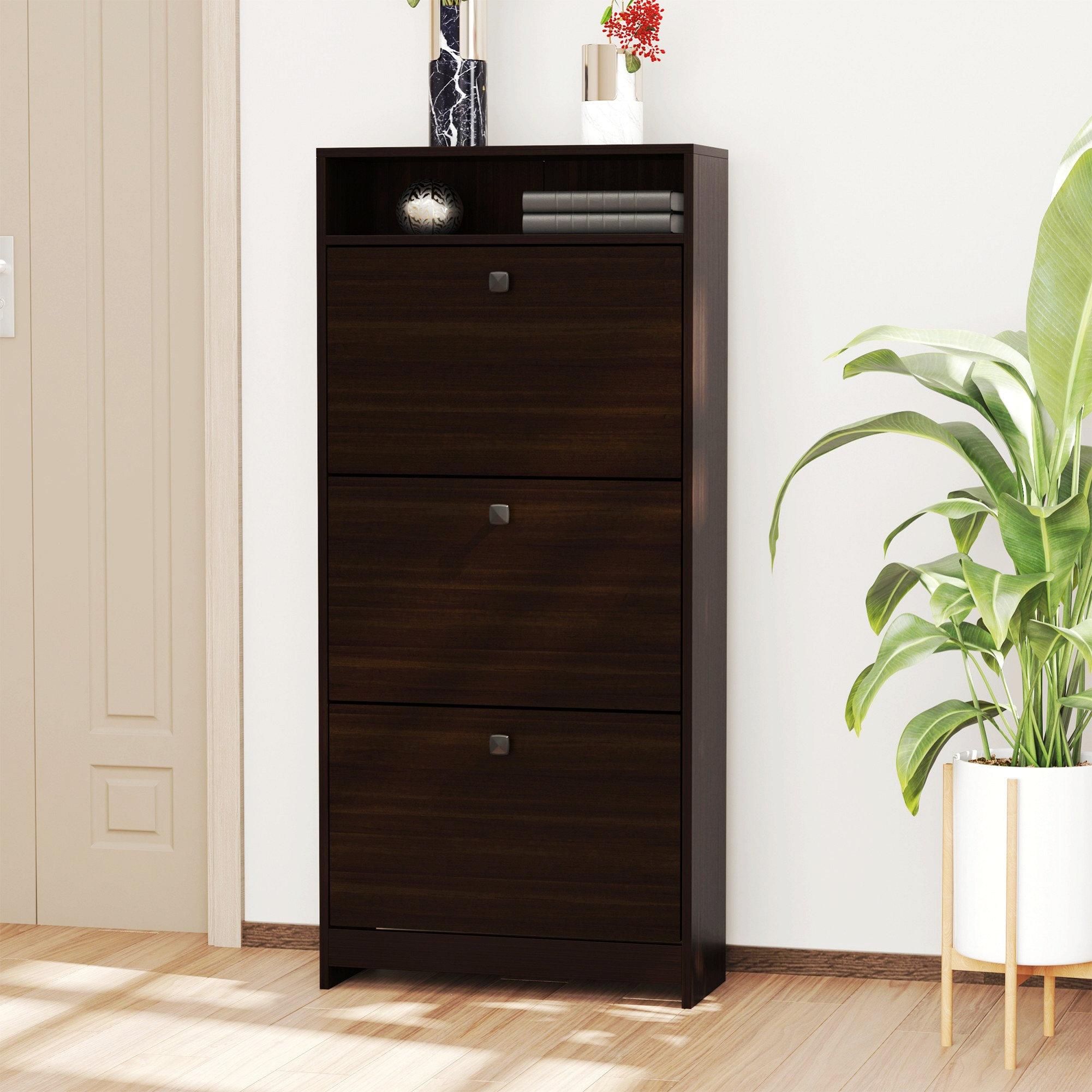 George Oliver Shoe Cabinet, Shoe Storage Cabinet With 3 Fold-Out ...