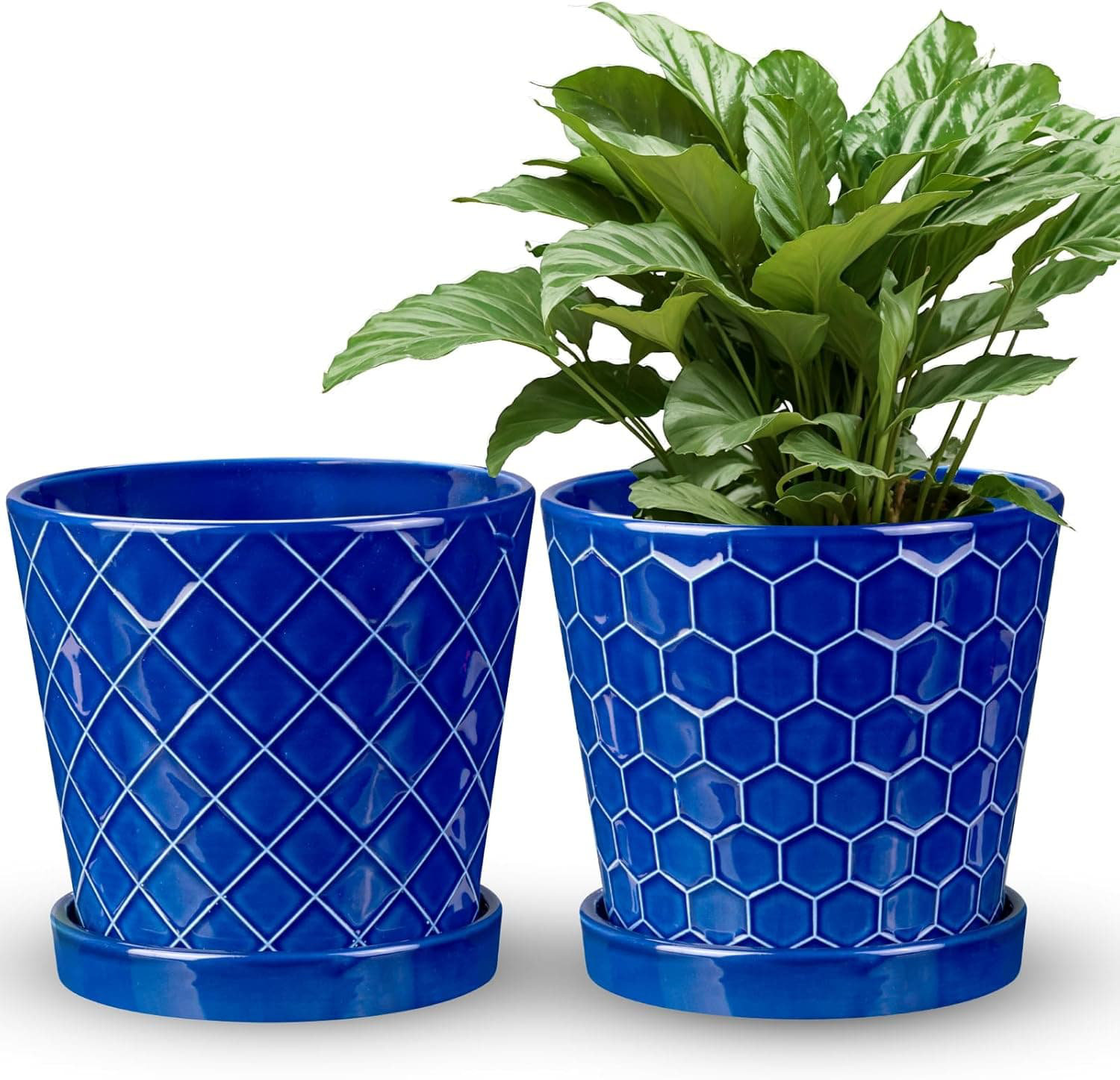 Latitude Run® 2-Piece 6" Sapphire Blue Ceramic Plant Pots (Drainage ...