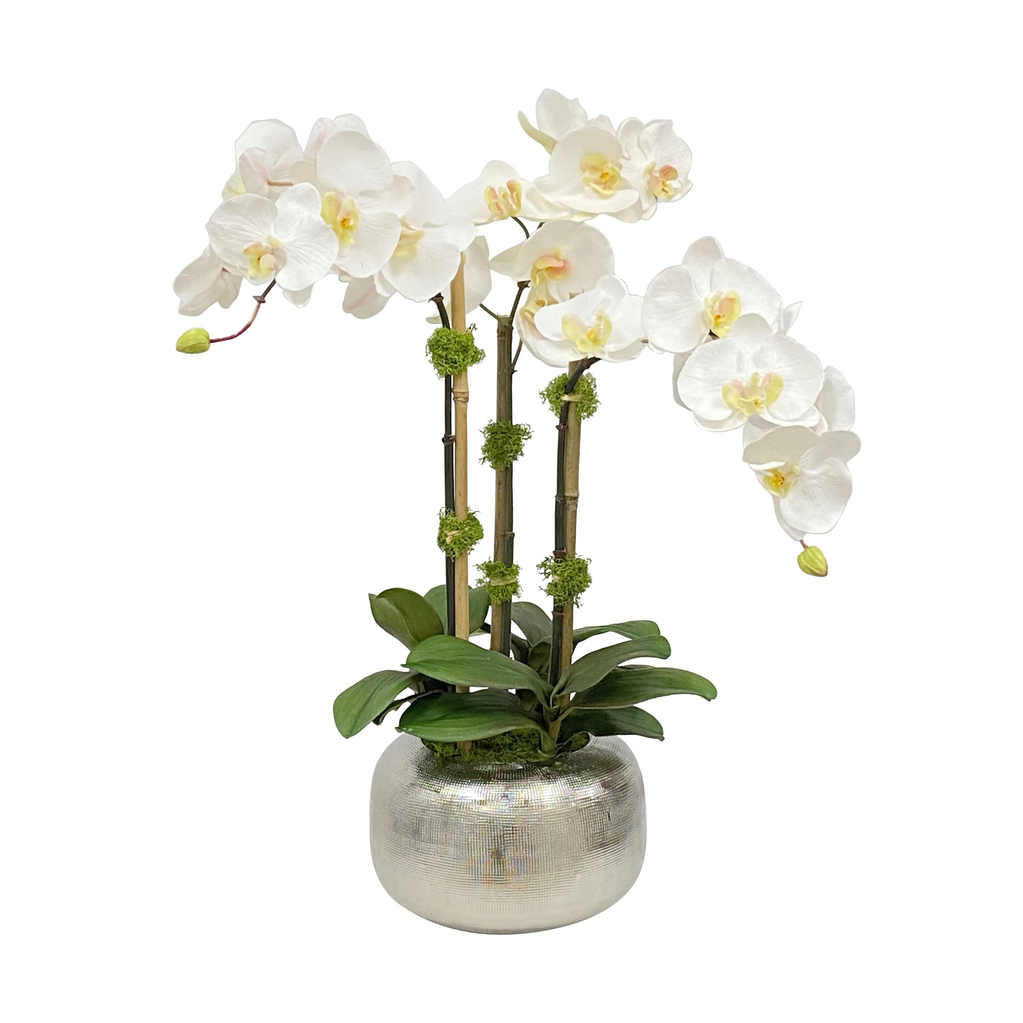 Winward Silks Orchid Stem in Pot | Wayfair