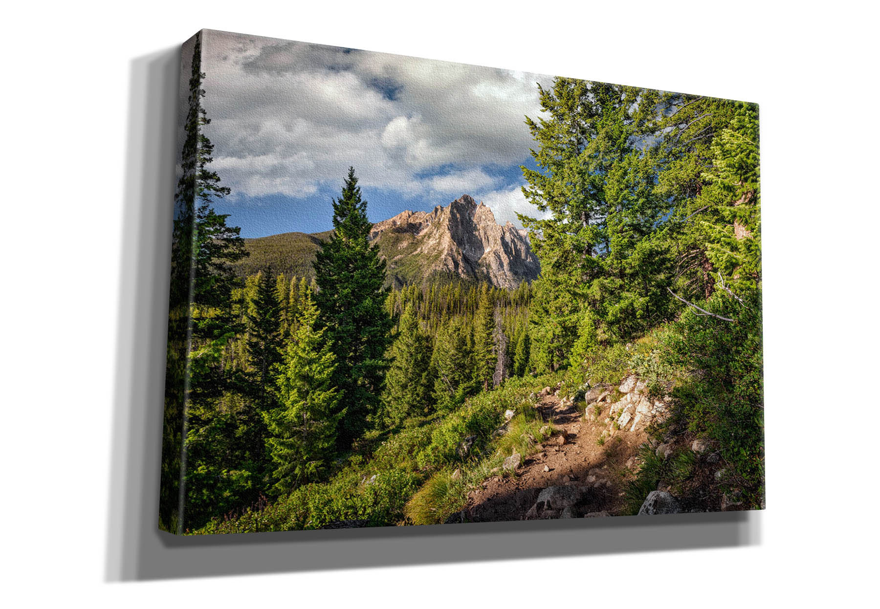 Millwood Pines 'Grand Mogul' by Rick Berk Canvas Wall Art, 26" x 18 ...