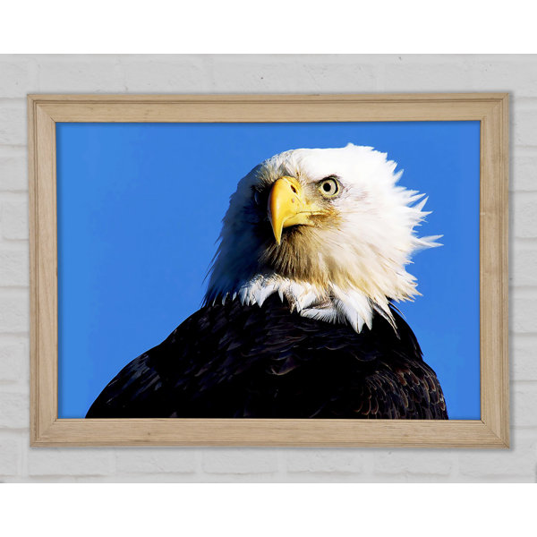 Union Rustic Eagle Stare - Single Picture Frame Print | Wayfair.co.uk