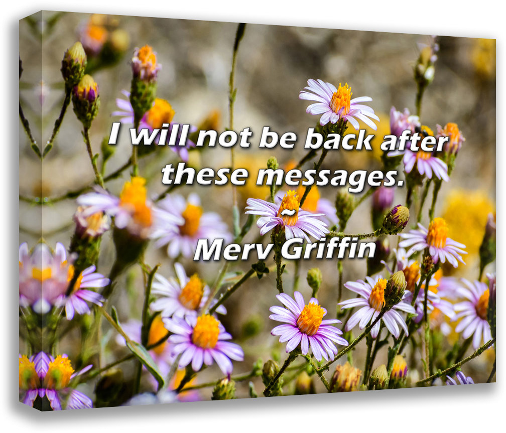 Dovecove Merv Griffin Quote: I will not be back after these messages ...