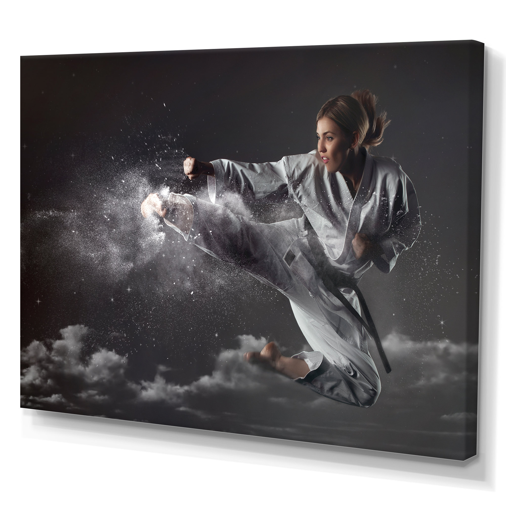 Ebern Designs In Air Karate Martial Art Kick - Print on Canvas | Wayfair