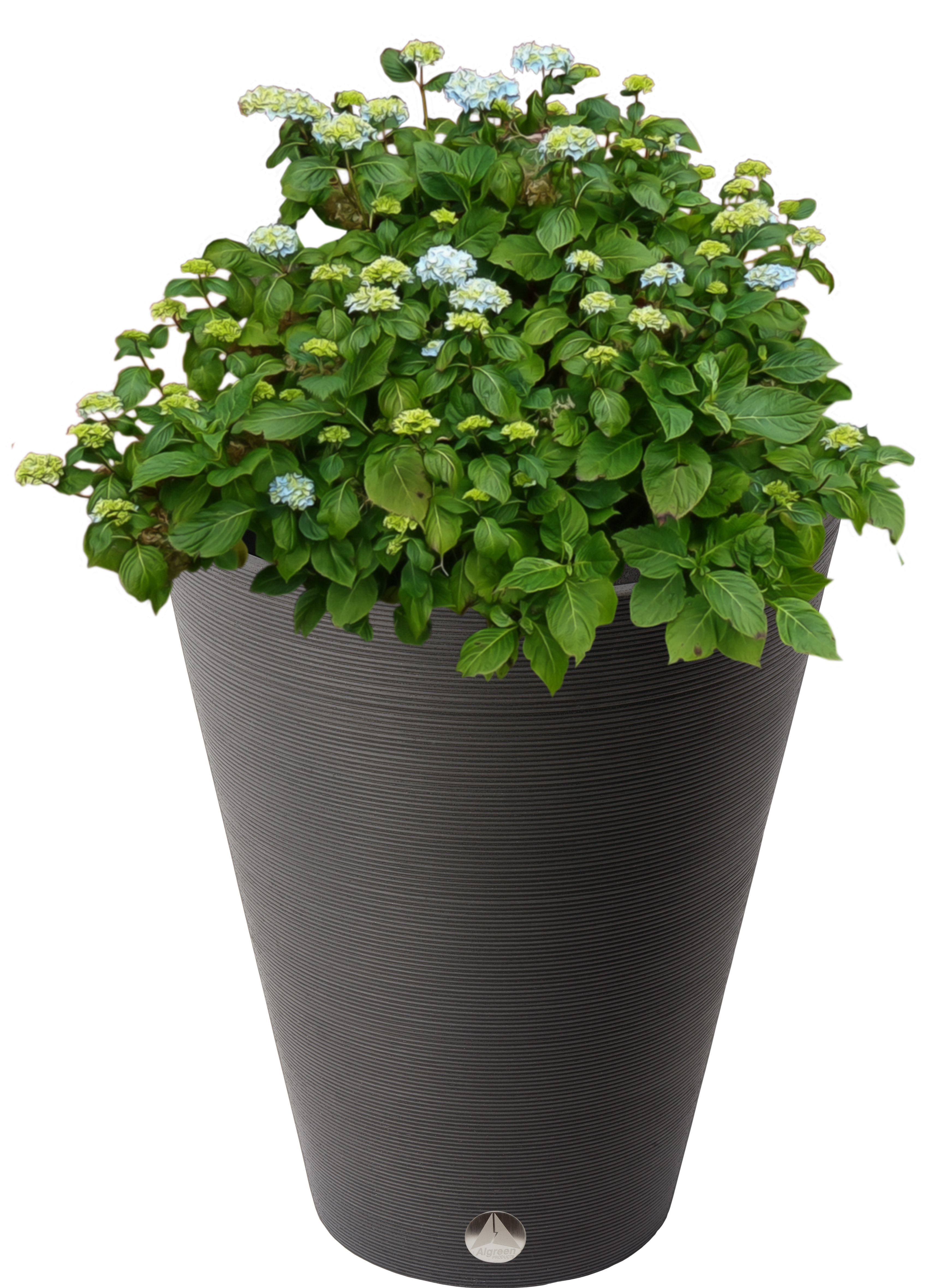 Charlton Home Cara Ribbed Composite Pot Planter & Reviews - Wayfair Canada
