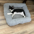 Kitty City Square Cat Bed & Reviews | Wayfair