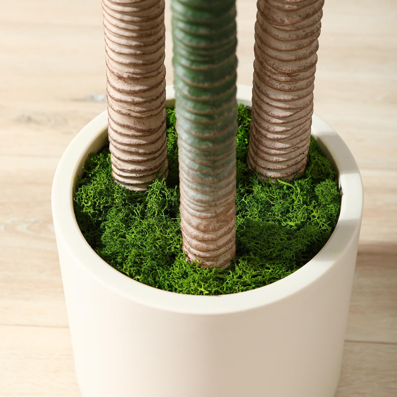 Corrigan Studio® Artificial Dracaena Tree 5Ft Tall | Wayfair