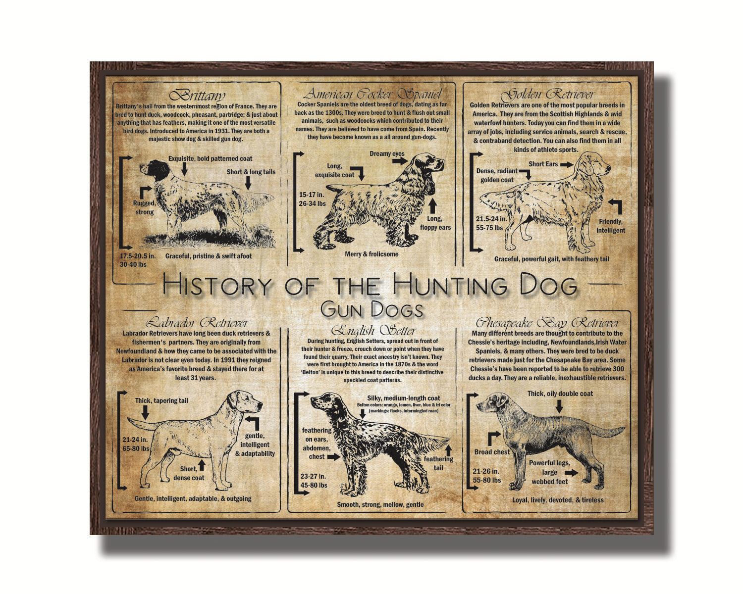 Trent Austin Design® History of the Gun Dog - Breed Collage | Wayfair