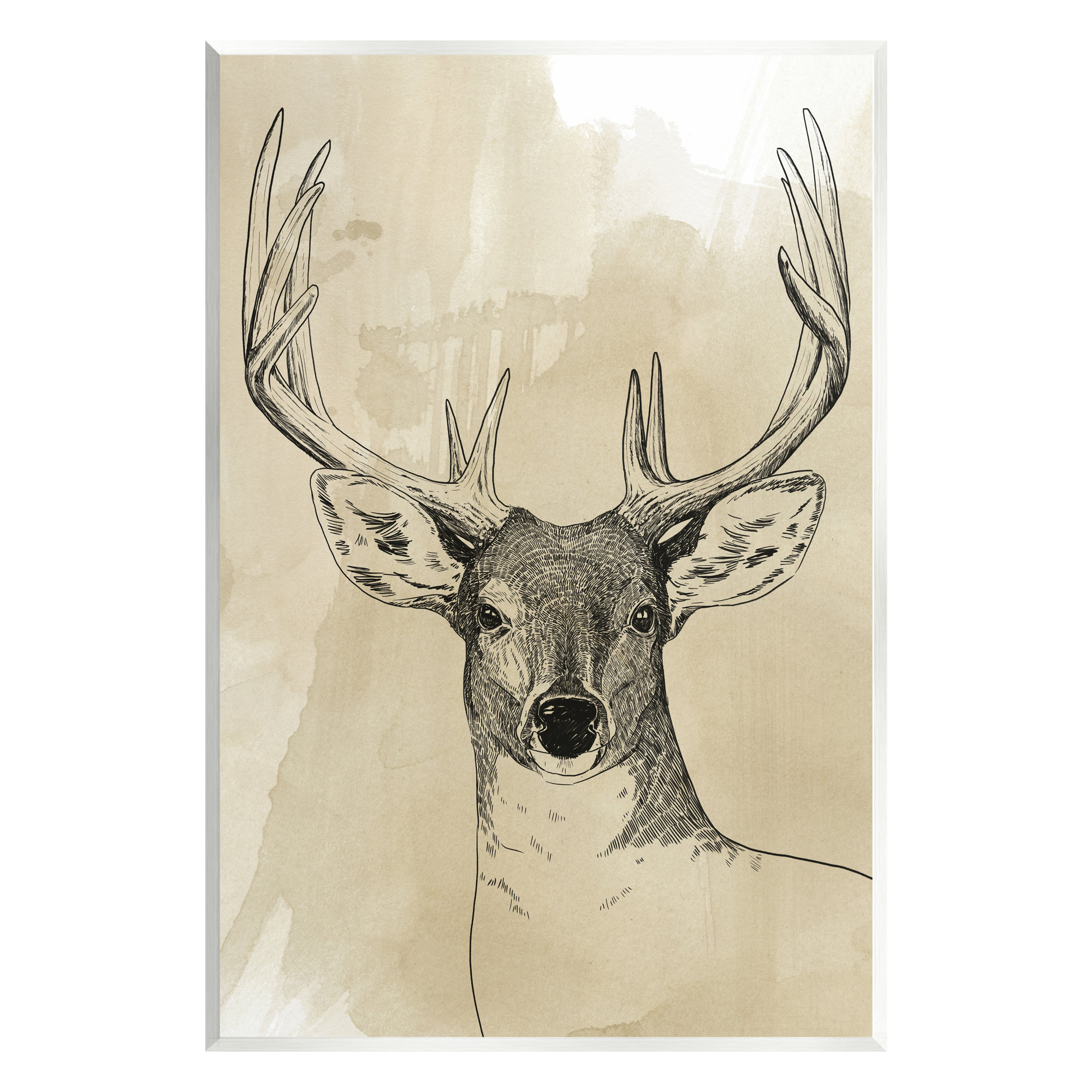 Stupell Industries Deer Portrait Drawing Canvas Wall Art Design by ...