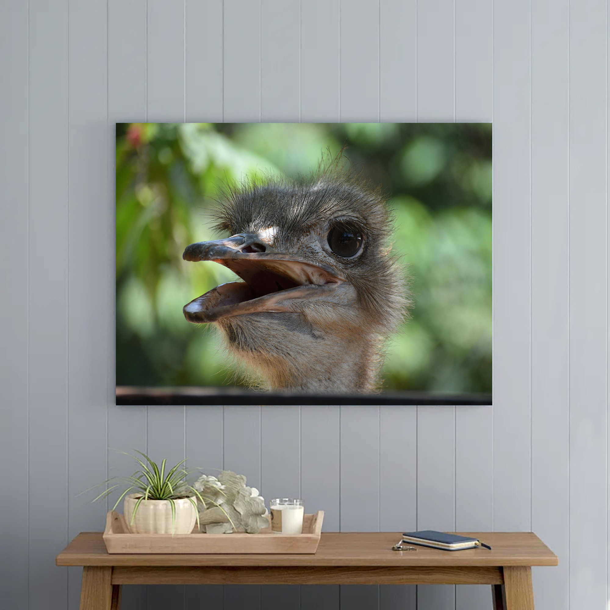 Ebern Designs Close up of Ostrich Chick Head | Wayfair