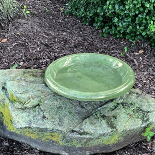 Small Bird Baths You'll Love | Wayfair