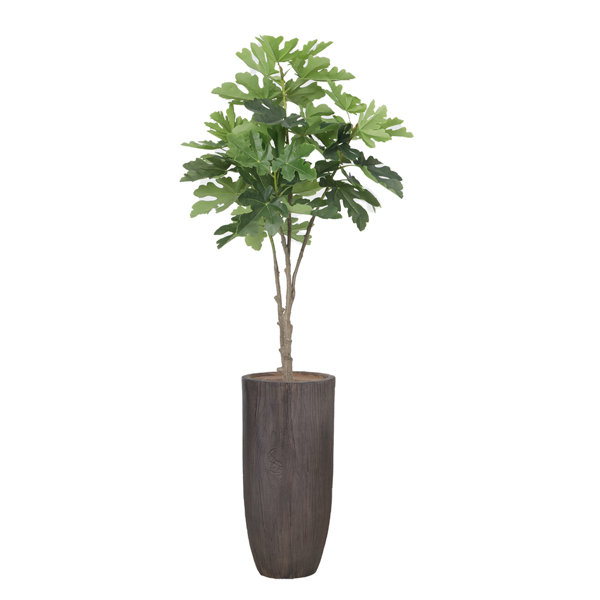 Vintage Home 79'' Faux Sycamore Tree in Pot & Reviews | Wayfair