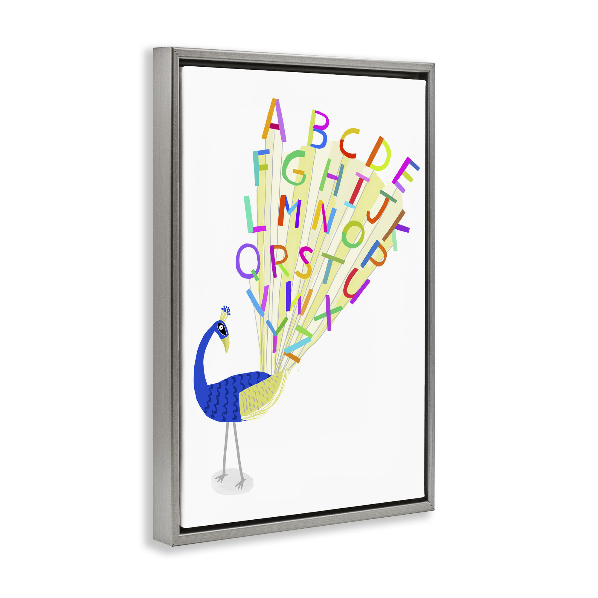 Bungalow Rose Peacock Alphabet Feathers Framed Floater Canvas by Carla ...