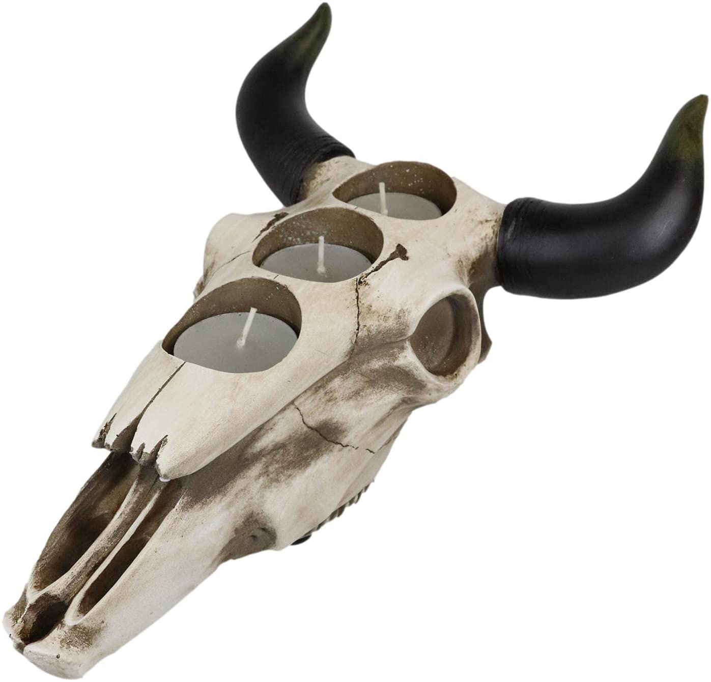 Loon Peak® Ebros Western Native American Steer Bull Cow Skull | Wayfair