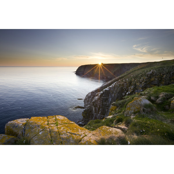 House of Hampton St. Mary's Newfoundland | Wayfair.co.uk