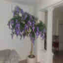 Primrue Adcock 8ft Artificial Flower Tree with 18in White Planter, Tall ...