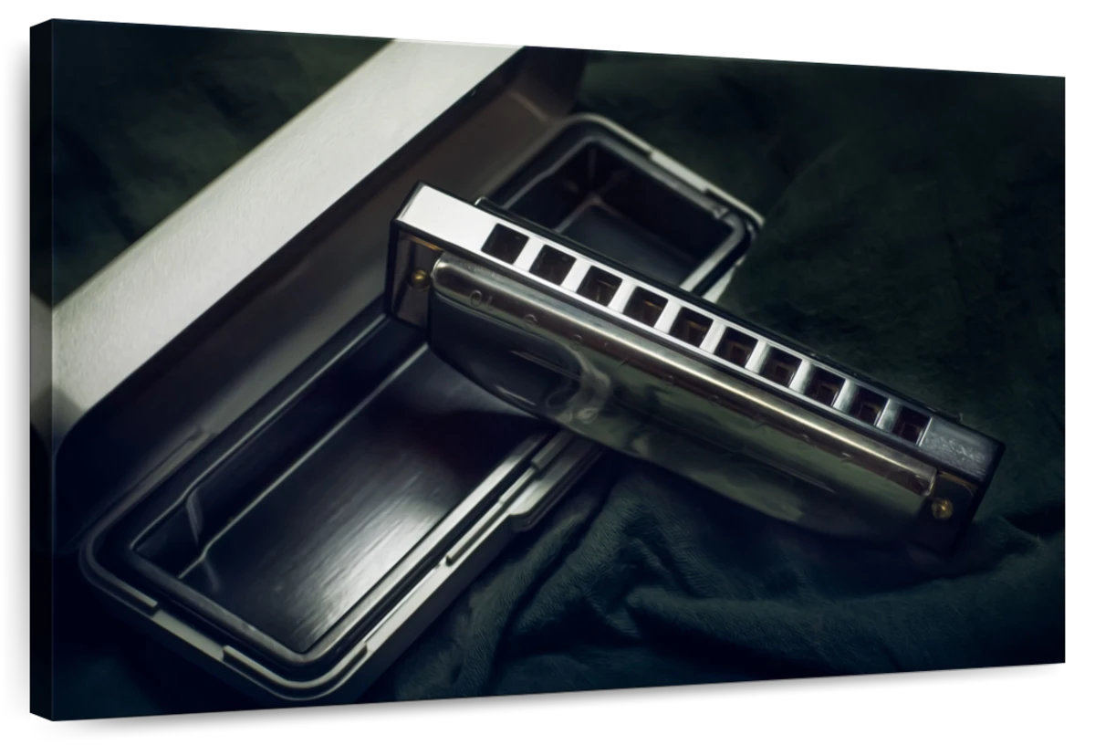 Ebern Designs Abarca Modern Harmonica | Wayfair