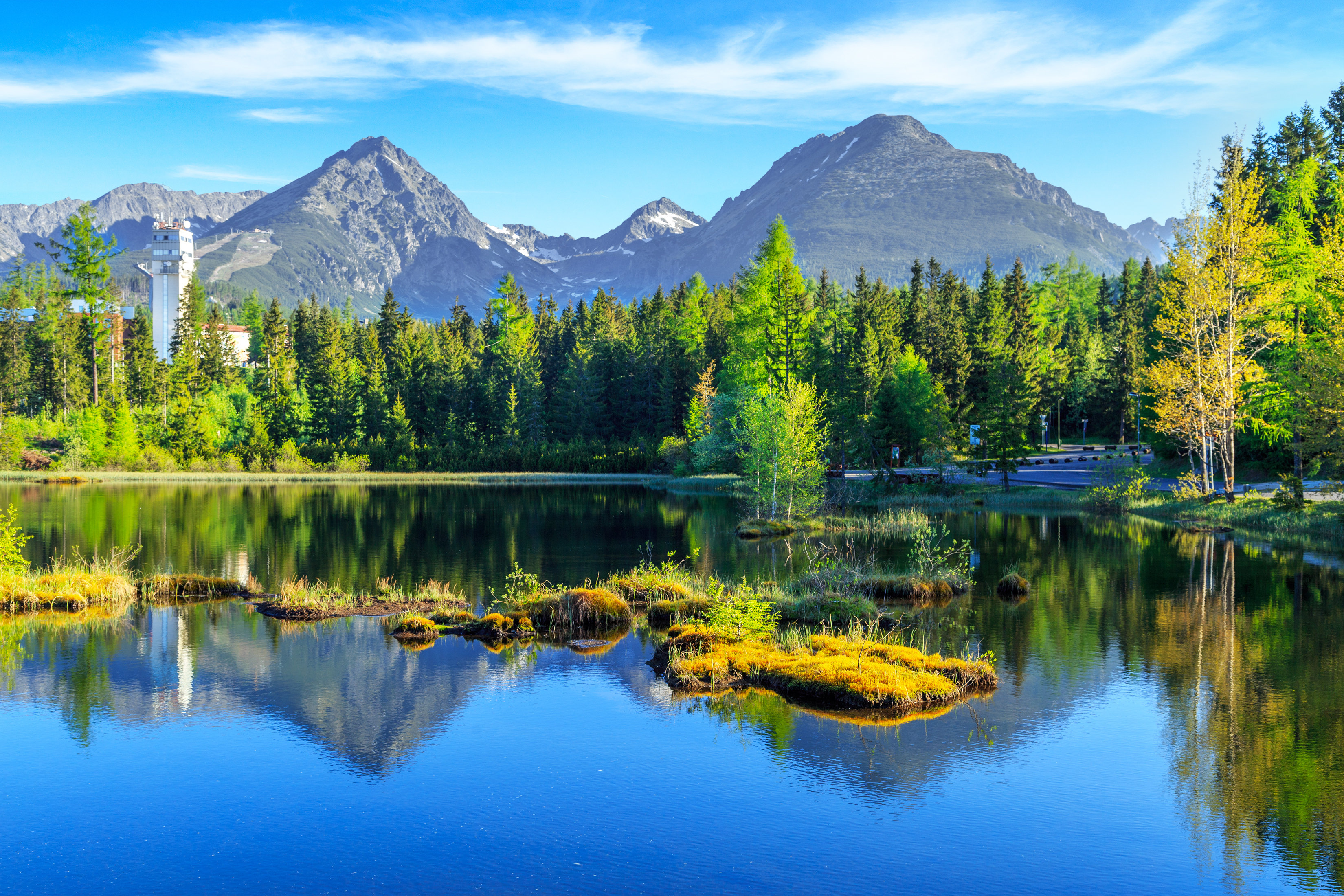 Millwood Pines Mountain Lake by Maniscule - Wrapped Canvas Photograph ...