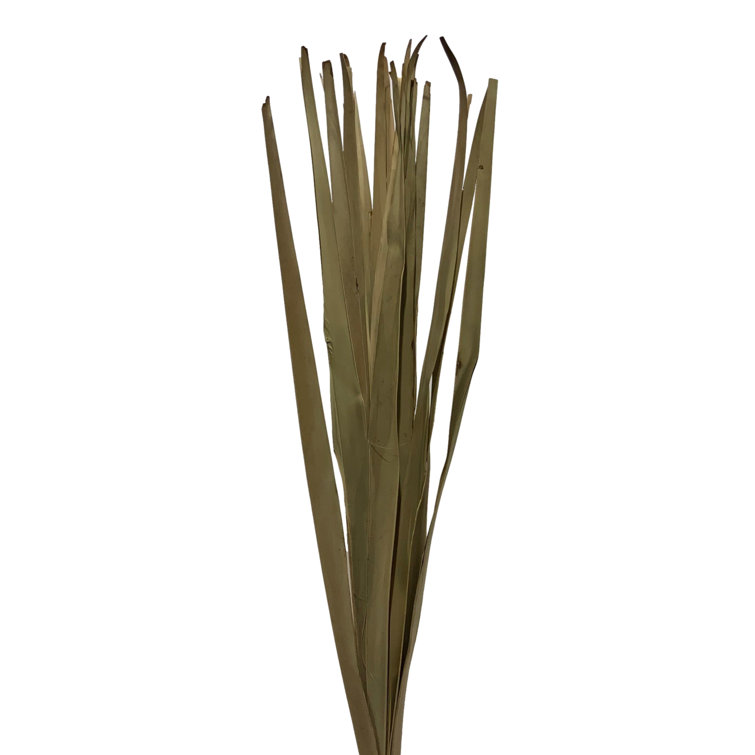 Primrue Elmhur Palm Stem | Wayfair