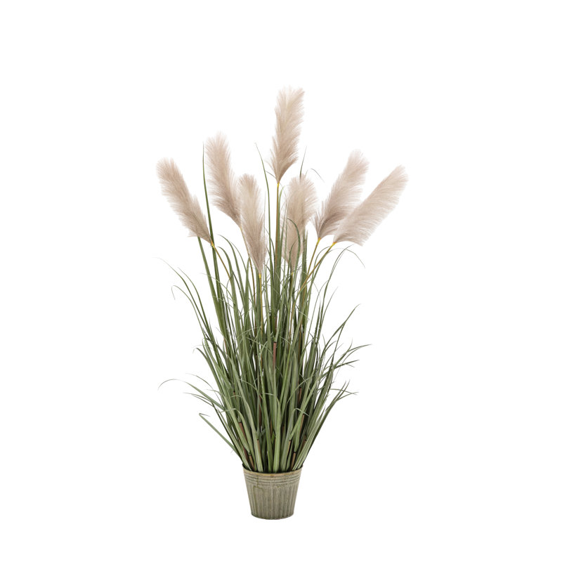 The Seasonal Aisle Potted Grass with Pampas Seed Heads (5pk) 1570mm ...