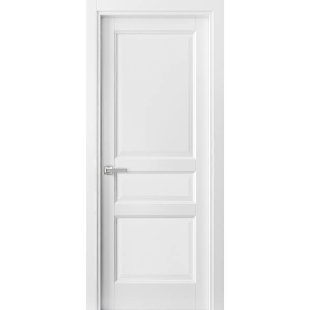 SARTODOORS Paneled Wood Lucia Standard Door | Wayfair