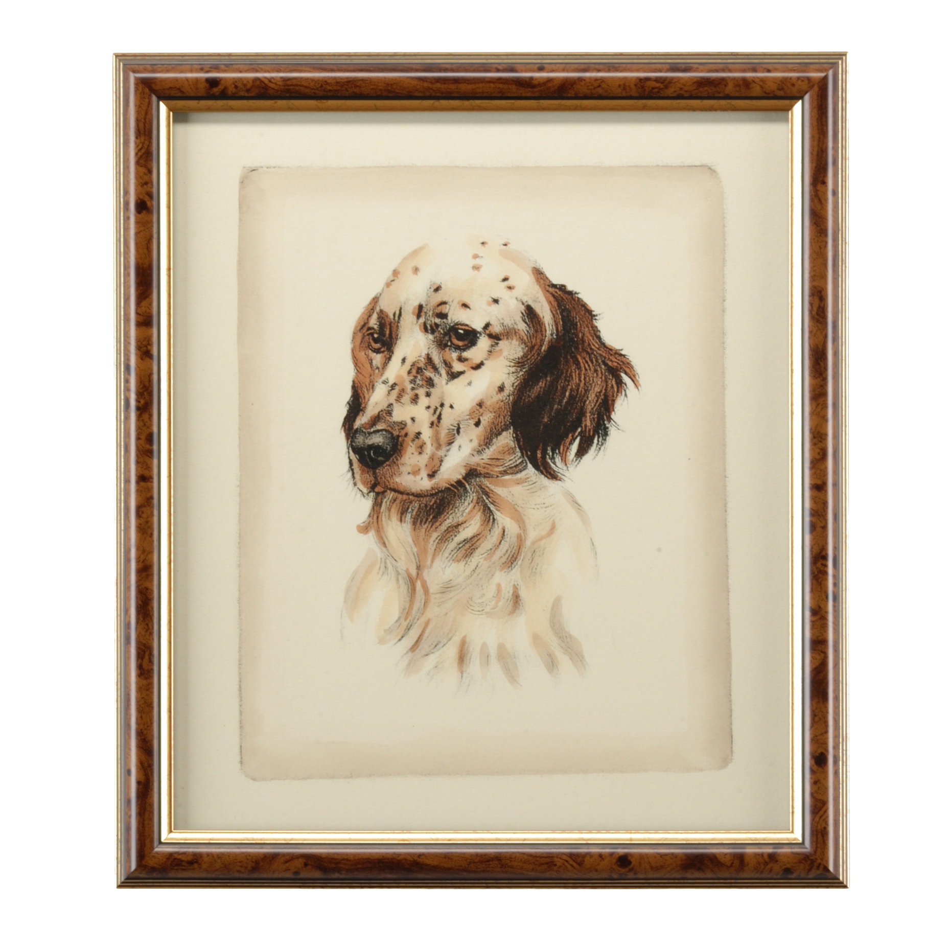 Chelsea House Danchin Setter - Picture Framed Painting | Wayfair