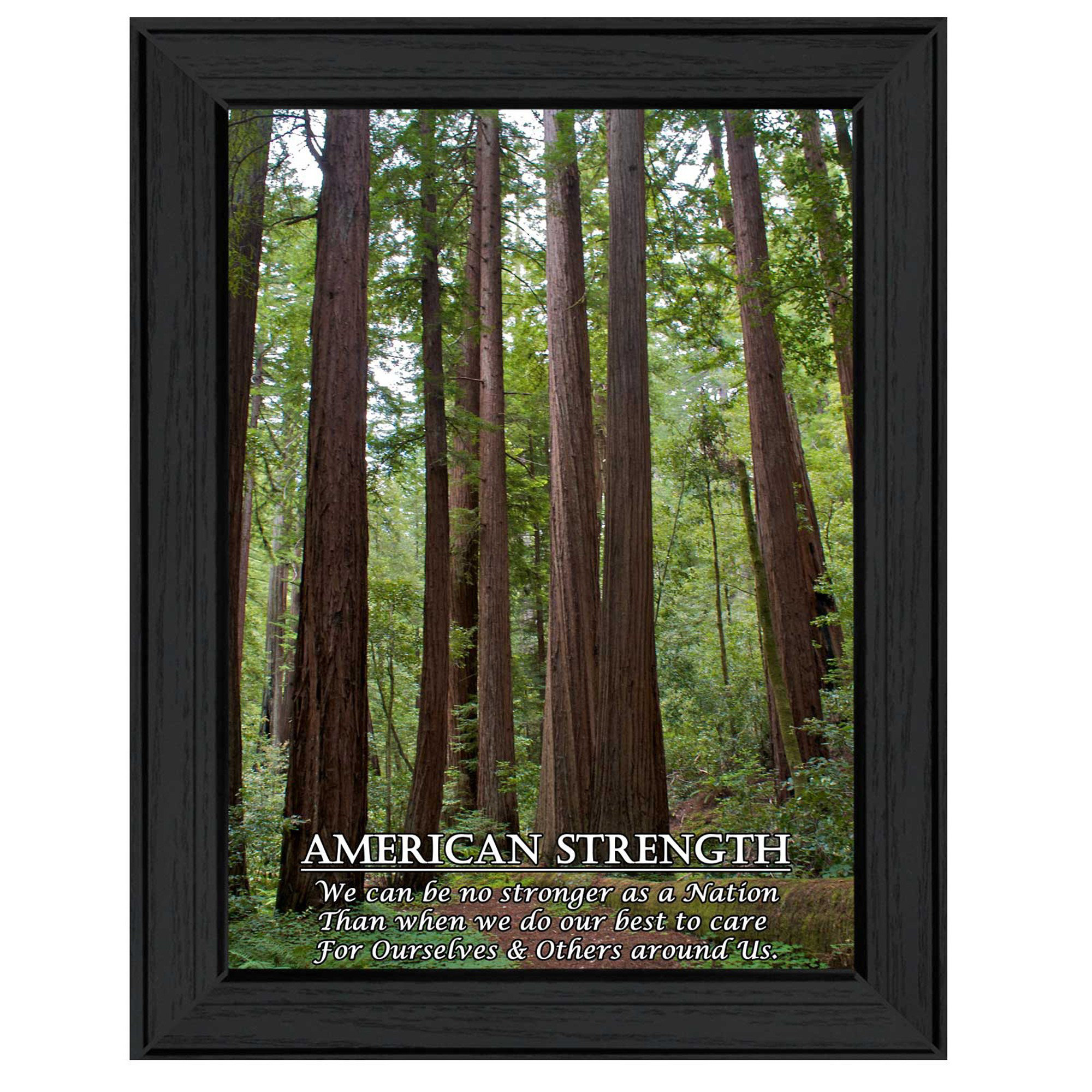 Loon Peak® American Strength - Picture Frame Photograph | Wayfair