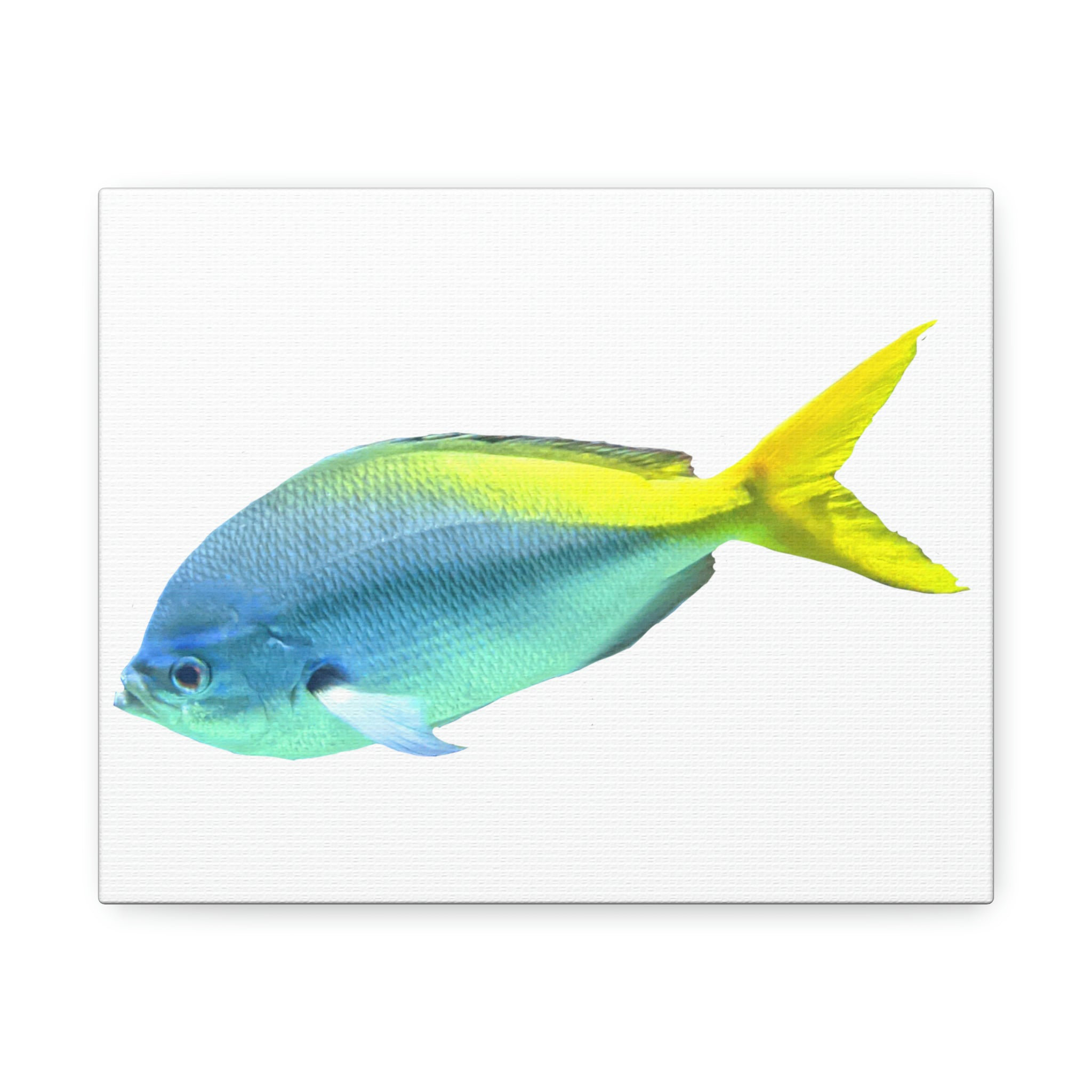 Rosecliff Heights Blue Yellow Fish Stretched - Wrapped Canvas ...