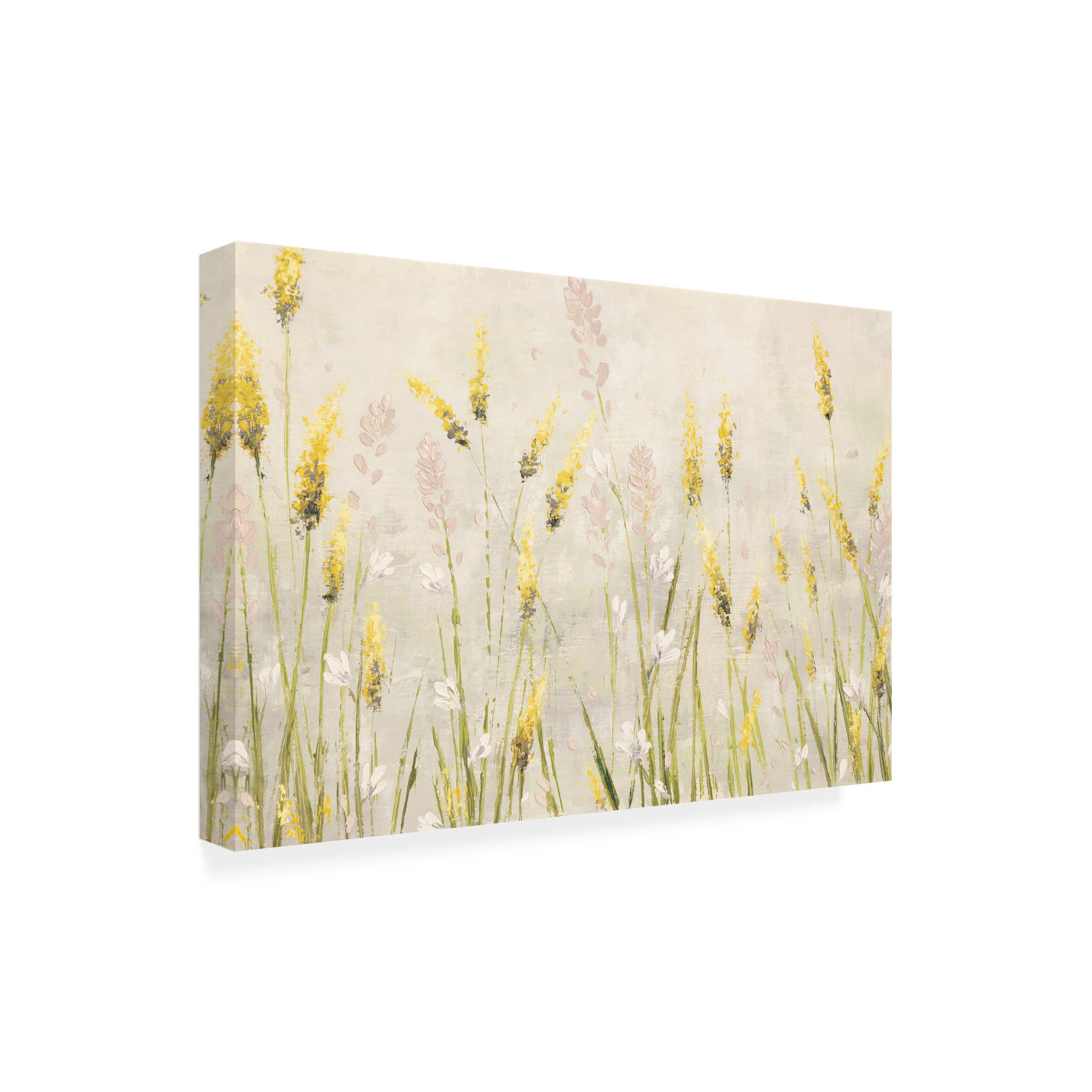 Winston Porter Goliat Actaea Simplex On Canvas by Emma Coghlan Graphic ...