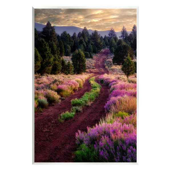 Stupell Industries Au-810-Wood Pink Blooming Meadow Landscape On MDF by ...