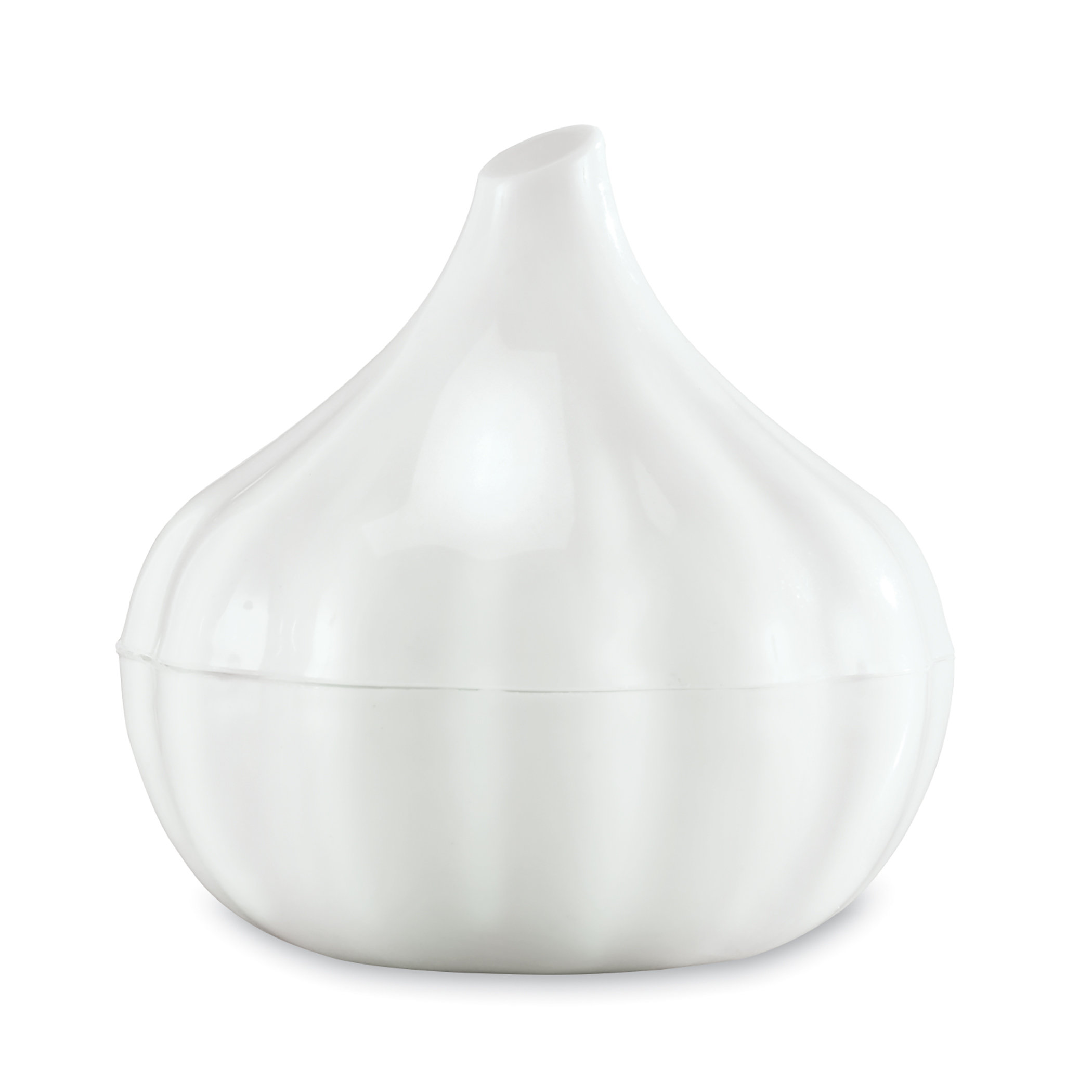 Wrought Studio™ Garlic-Shaped Garlic Saver Airtight Container | Wayfair