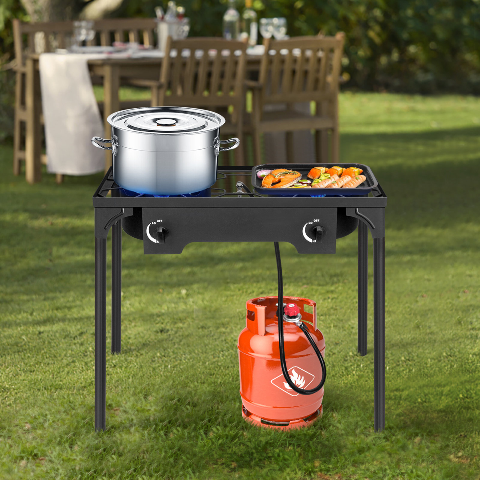 Propane Gas Stove