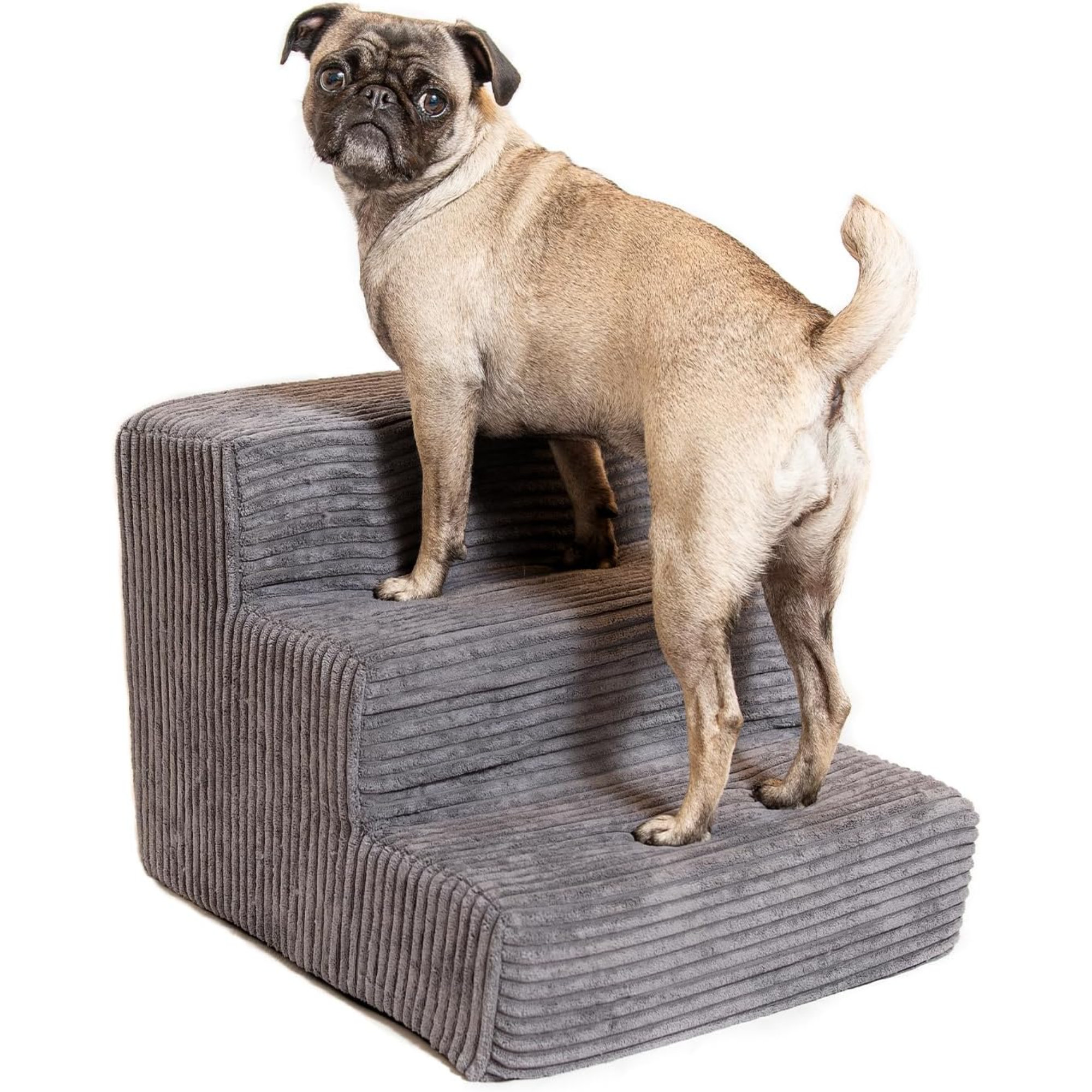 Tucker Murphy Pet™ Dog Stairs For Small Dogs & Cats, Foam Pet Steps ...